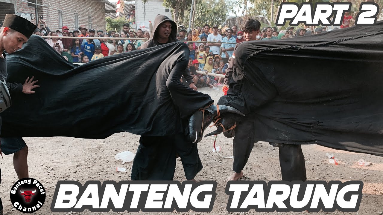 Putra Raga Tunggal Live Mbendet Candiwatu Pacet || Macanan & Bantengan ...