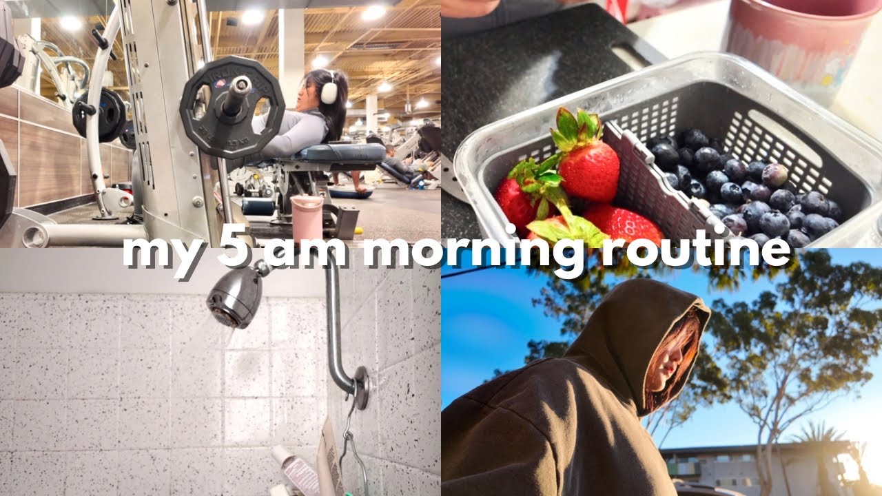 Productive 5AM Morning Routine – Gym, Healthy Breakfast & Cozy Vibes 🌅🏋 ...