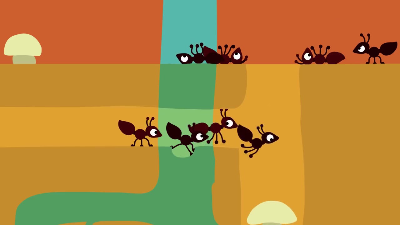 호기심 많은 개미가 만든 창의적인 시스템 (원제 : Animanimals: Ant) - YouTube