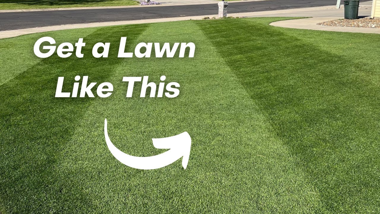 Easiest Way To Overseed For A Kick Grass Yard - YouTube