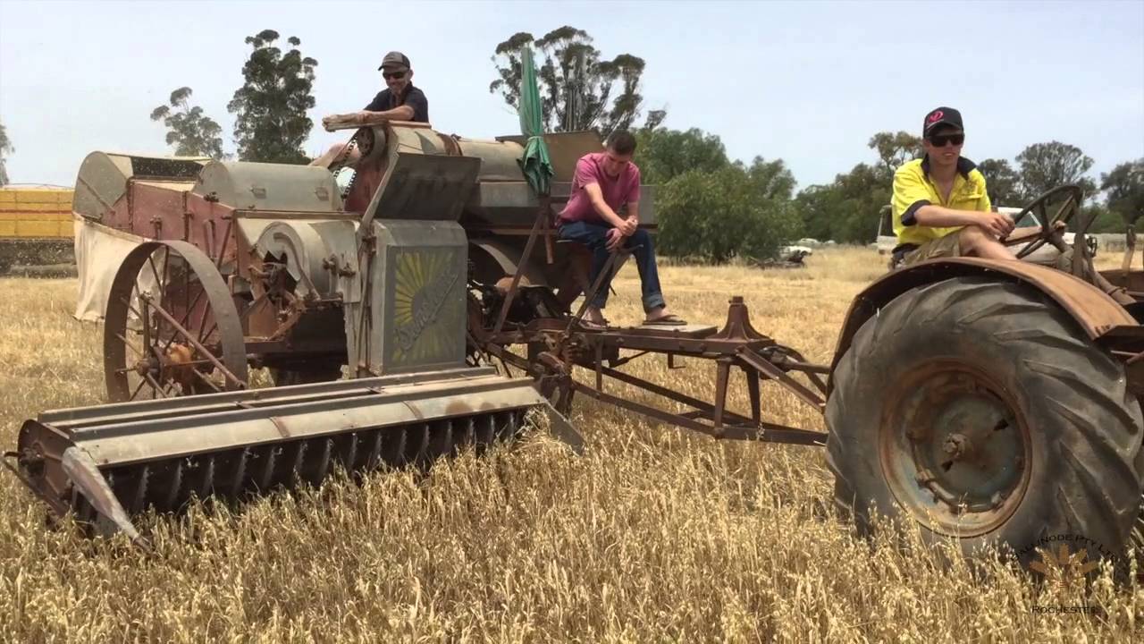 Vintage Harvest 2015 Australia - YouTube