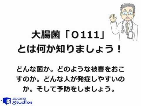【動画HowTo】大腸菌「Ｏ111」とは何か知りましょう！