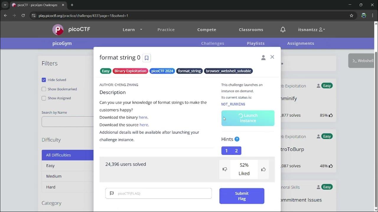 Format String 0 | Binary Exploitation | PicoCTF Challange - YouTube