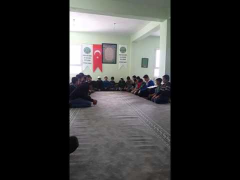 Deftere kaleme gerek kalmadı sevdim bir kere