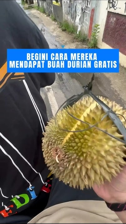 Begini cara mereka mendapat buah durian gratis - YouTube