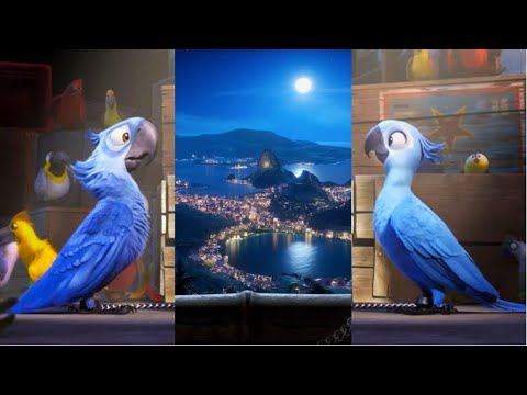 Rio | Know Your Meme