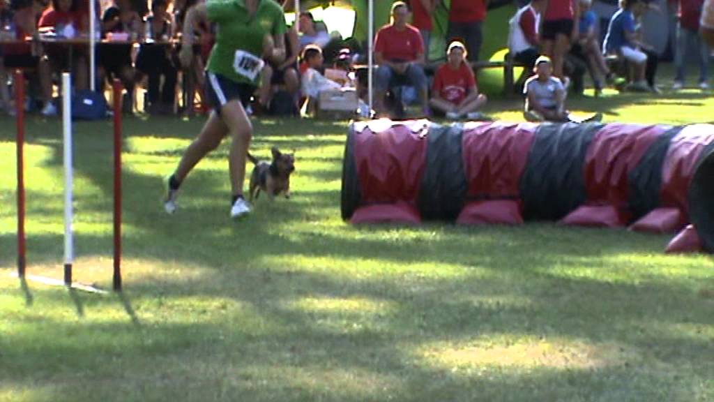 Ilaria & Lilli jumping 2 15 08 2013 - YouTube