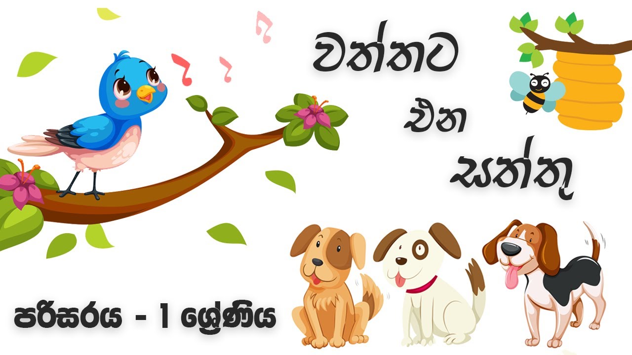 Grade 1 -වත්තට එන සත්තු - පරිසරය - 1 ශ්‍රේණිය Environmental Studies ...