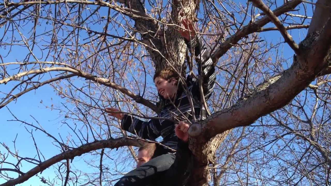 4 person tower - YouTube