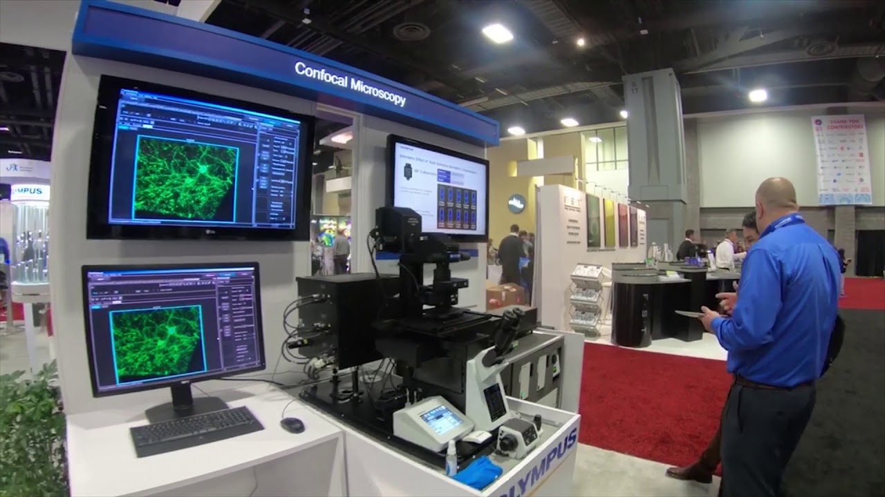 Neuroscience 2017 | Olympus Booth Virtual Tour - YouTube
