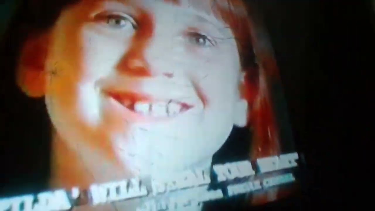 Opening to Stuart Little 2000 VHS - YouTube