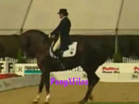 Horse MEP Part 6 - Bad Romance