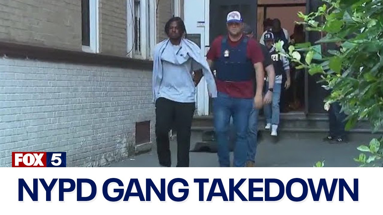 EXCLUSIVE: Behind the scenes of NYPD takedown of Brooklyn gang linked ...