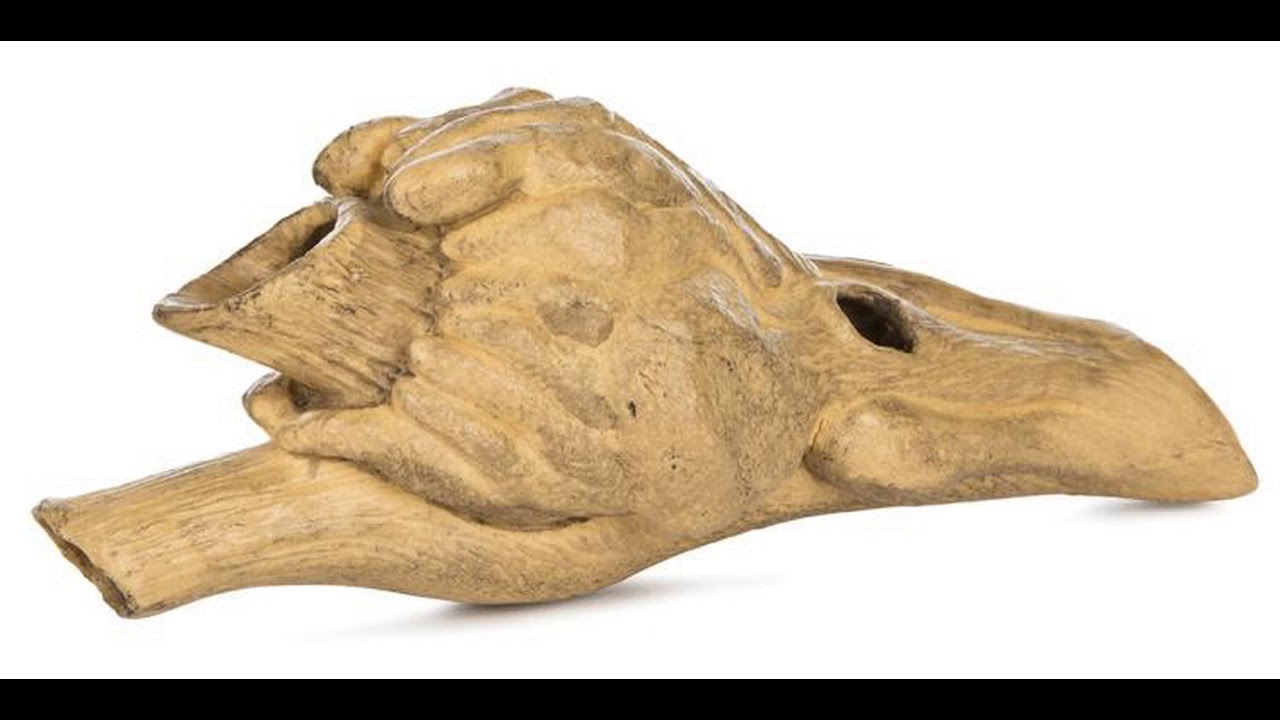 JP3 Resonating Chamber of the Velociraptor sound effects - YouTube