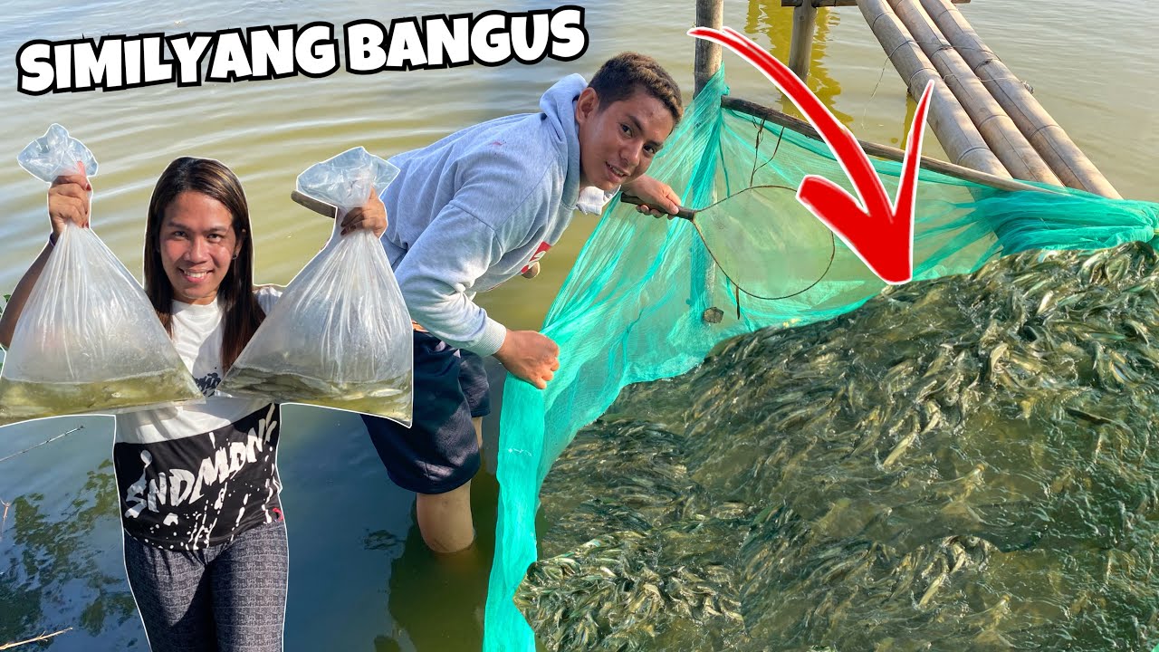 BUMILI KAMI NG MGA SIMILYANG BANGUS - YouTube