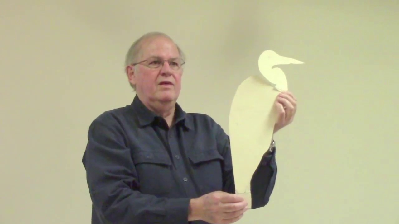 Bruce Bauer's techniques for creating, modifying, and adjusting a decoy ...
