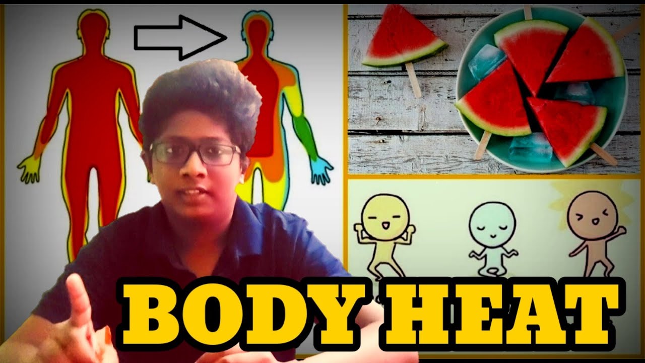 why do we have body heat. - YouTube