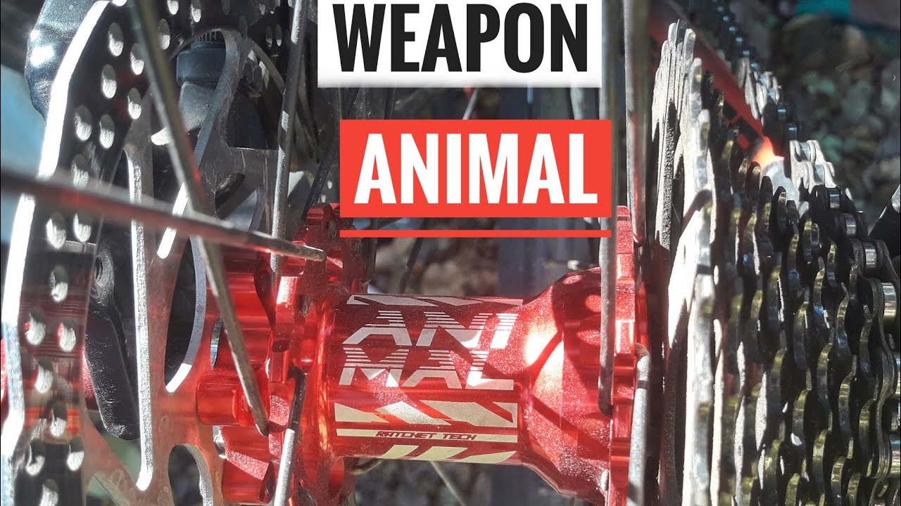 Weapon Animal Ratchet Hub sound - YouTube