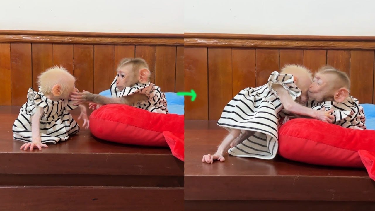 Awww Baby Yuri Seeing Minea Crying Then She Pull Her To Hug So Sweet ...