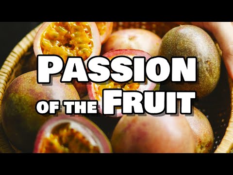 How We Made a Passion Fruit Mead with 101 Passion Fruits!