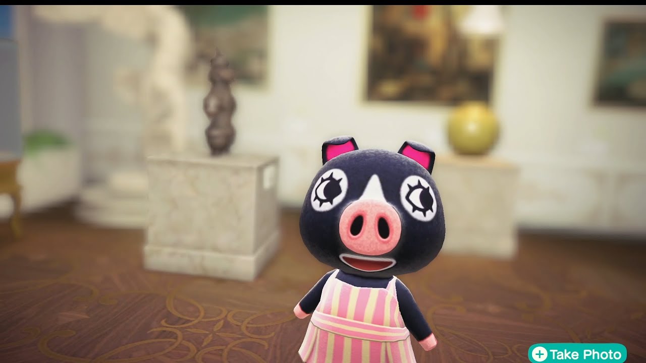 Animal Crossing Happy Home Paradise: Agnes Artsiest Art Museum - YouTube
