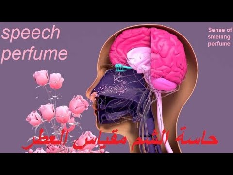 حاسة الشم مقياس العطور Smell of smell perfume scale