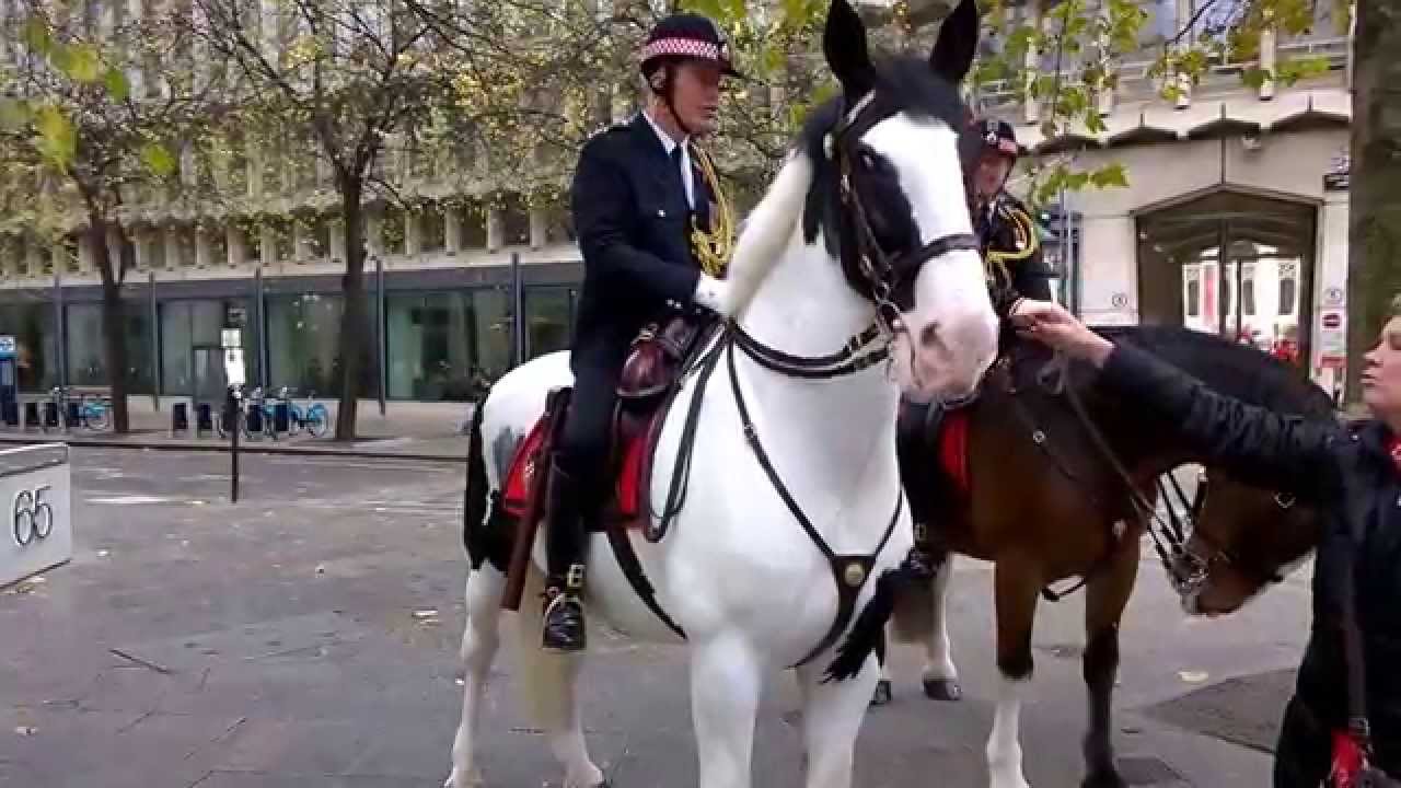The City of London Police Mounted Branch - YouTube