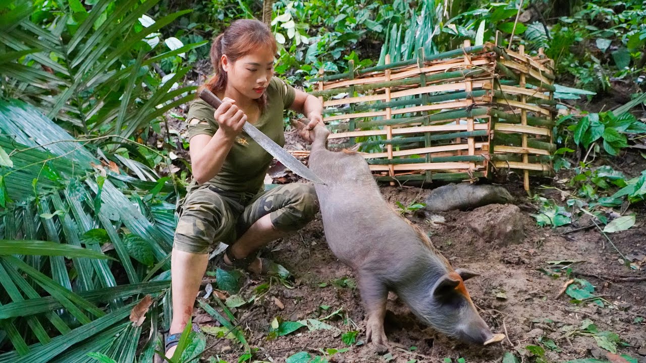 survival skills, catching traps, catching wild boars, survival alone ...