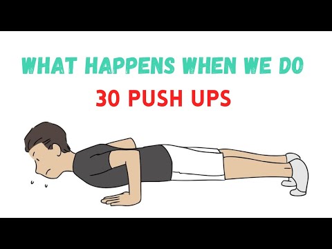 what happens when we do 30 push ups (animated video ) - YouTube