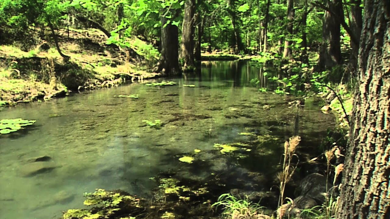 Fishing for Conservation: Texas Aquatic Science: Chapter 13 - YouTube