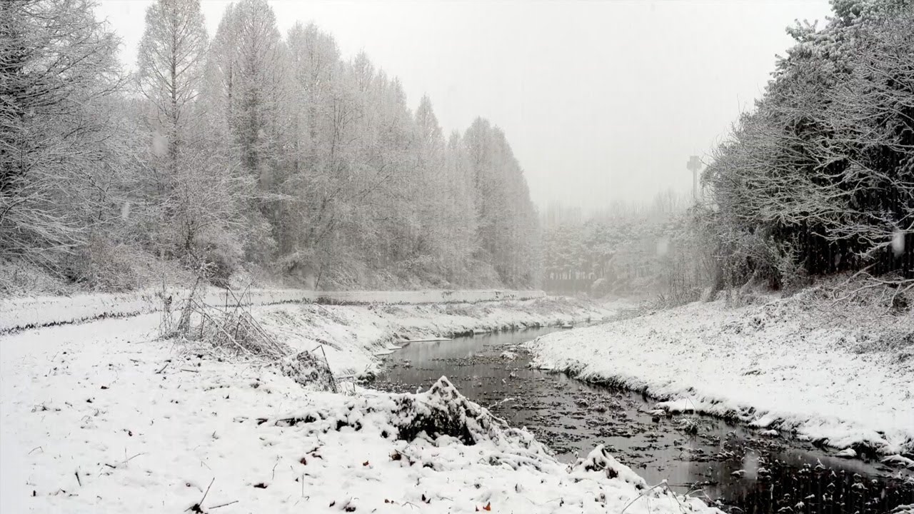 Beautiful Snowy Landscapes & Natural White Noise - Snow Sounds Falling ...
