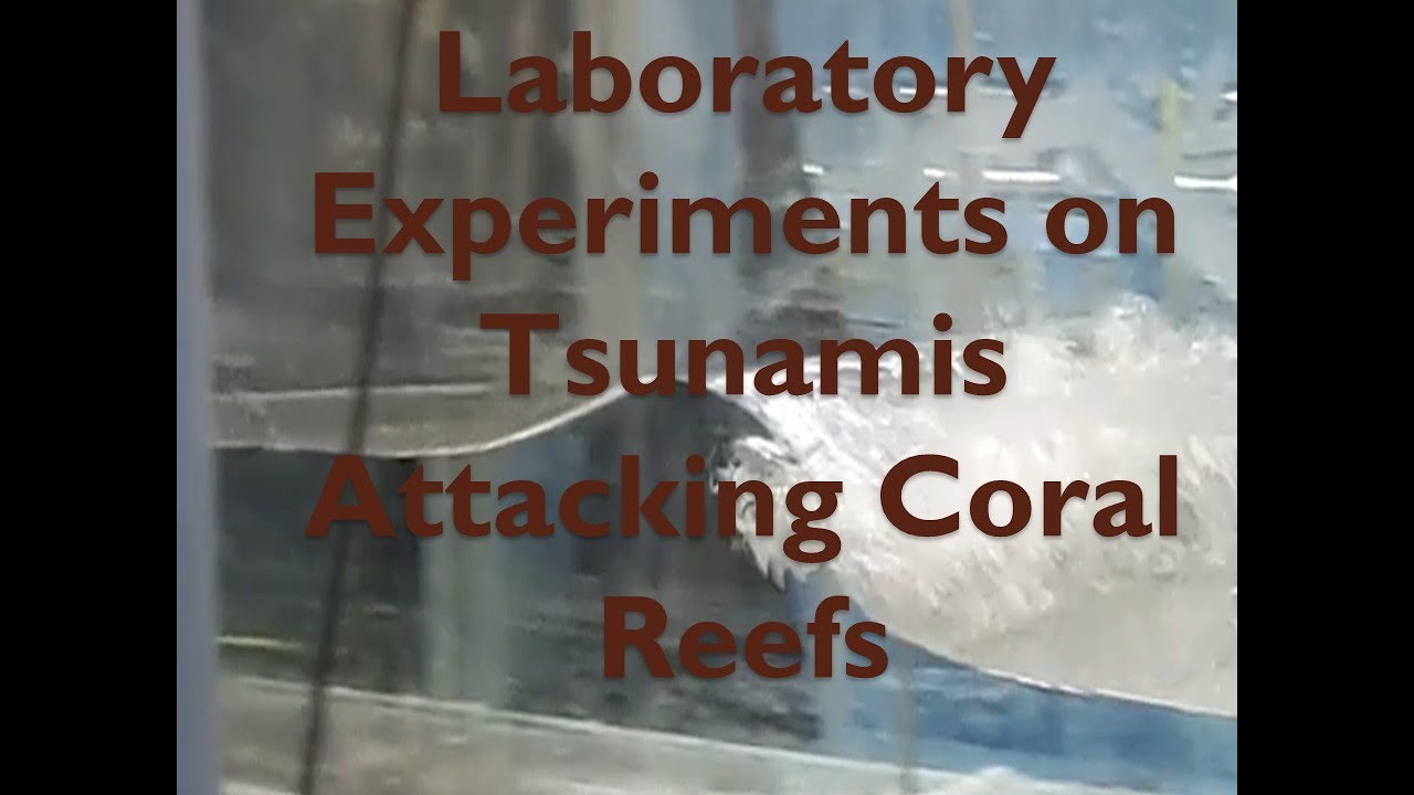Lab experiments on tsunami overflowing coral reefs - YouTube