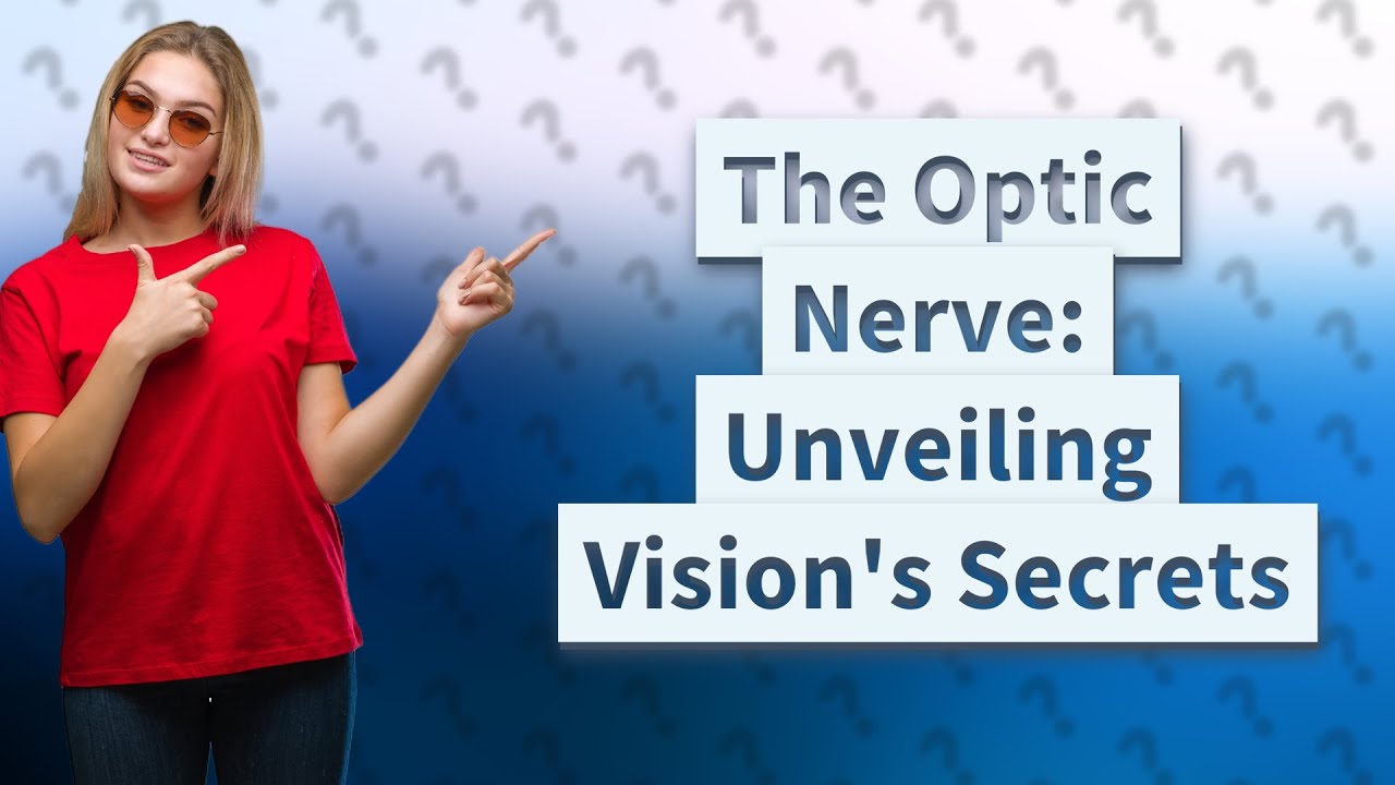 How Does the Optic Nerve (CN II) Affect My Vision? - YouTube
