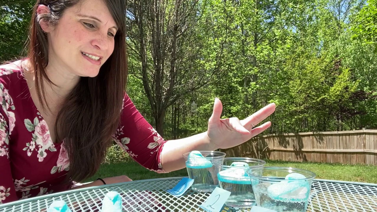 Science Experiment Using Peeps - YouTube