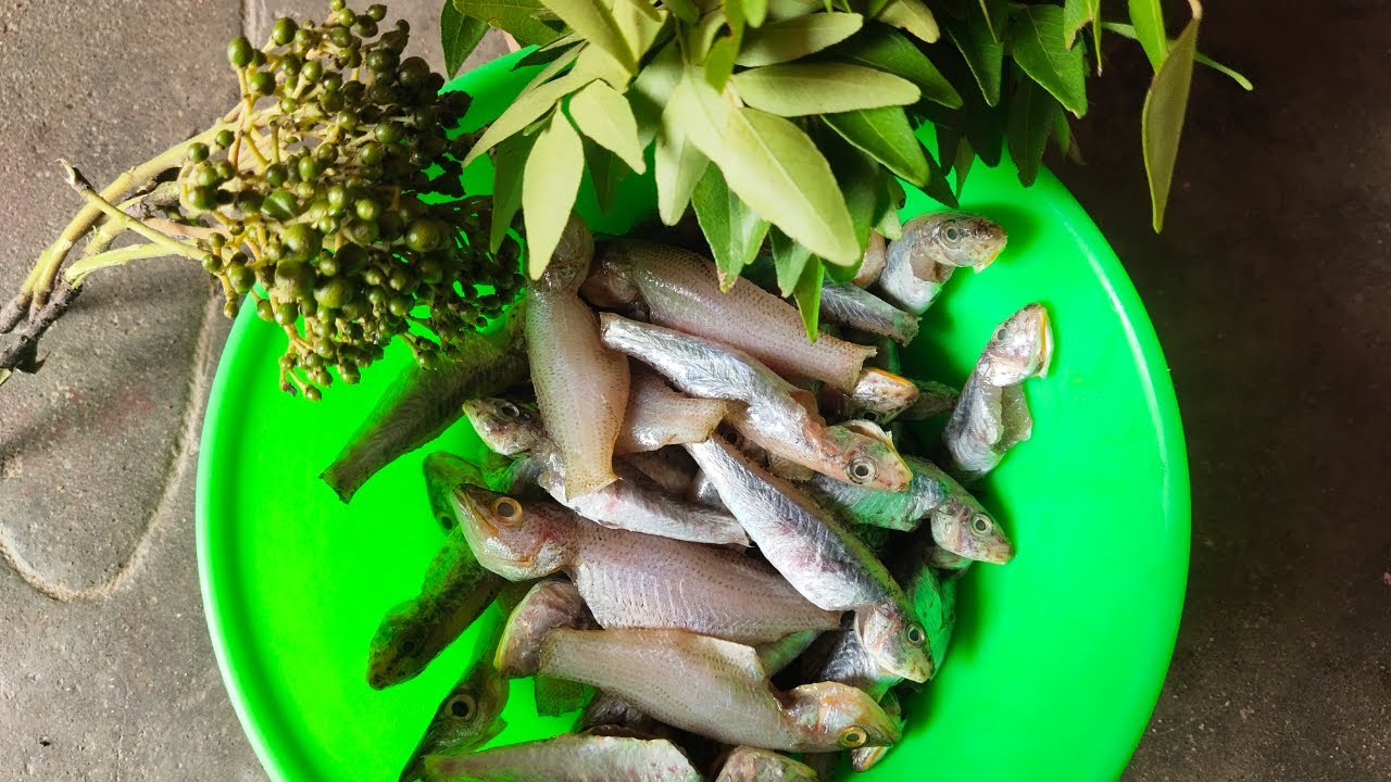 Kunji Nagarai Meen Kulambu || Kunji Nagarai Fish Kulambu || Ellarum ...