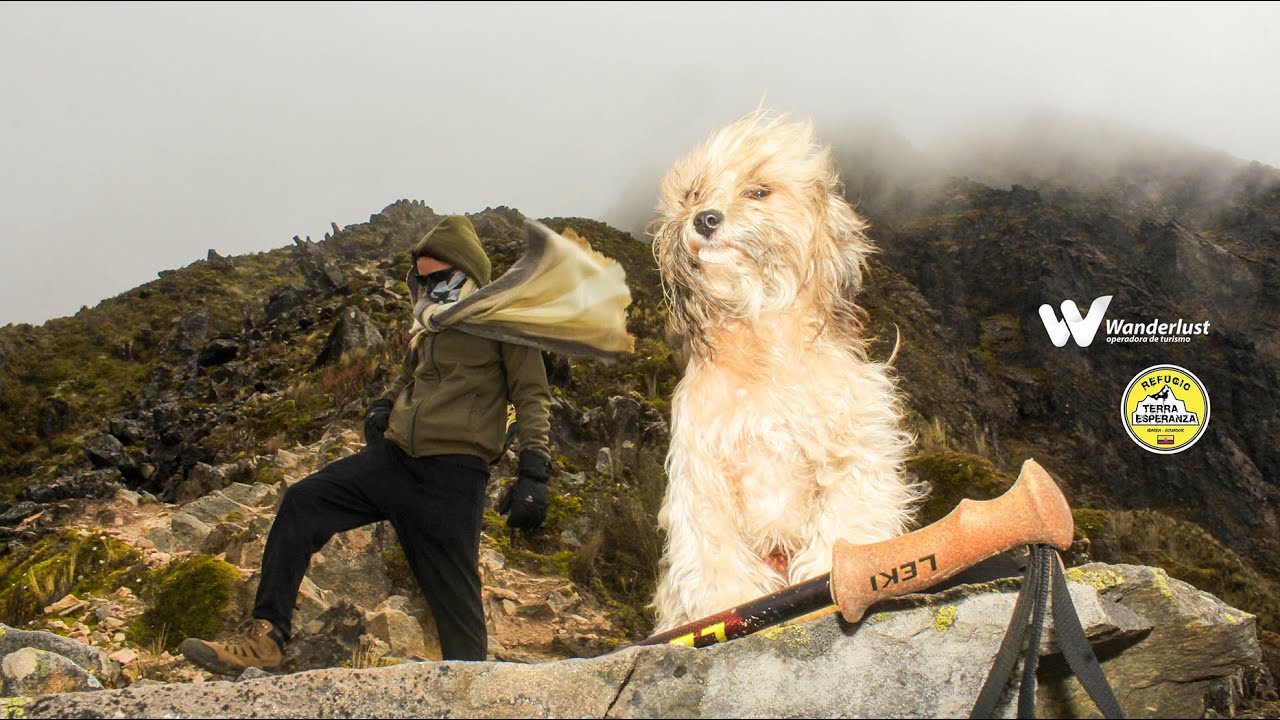 Testimonio: Steven Orbe Trekking Imbabura Refugio Terra Esperanza - YouTube