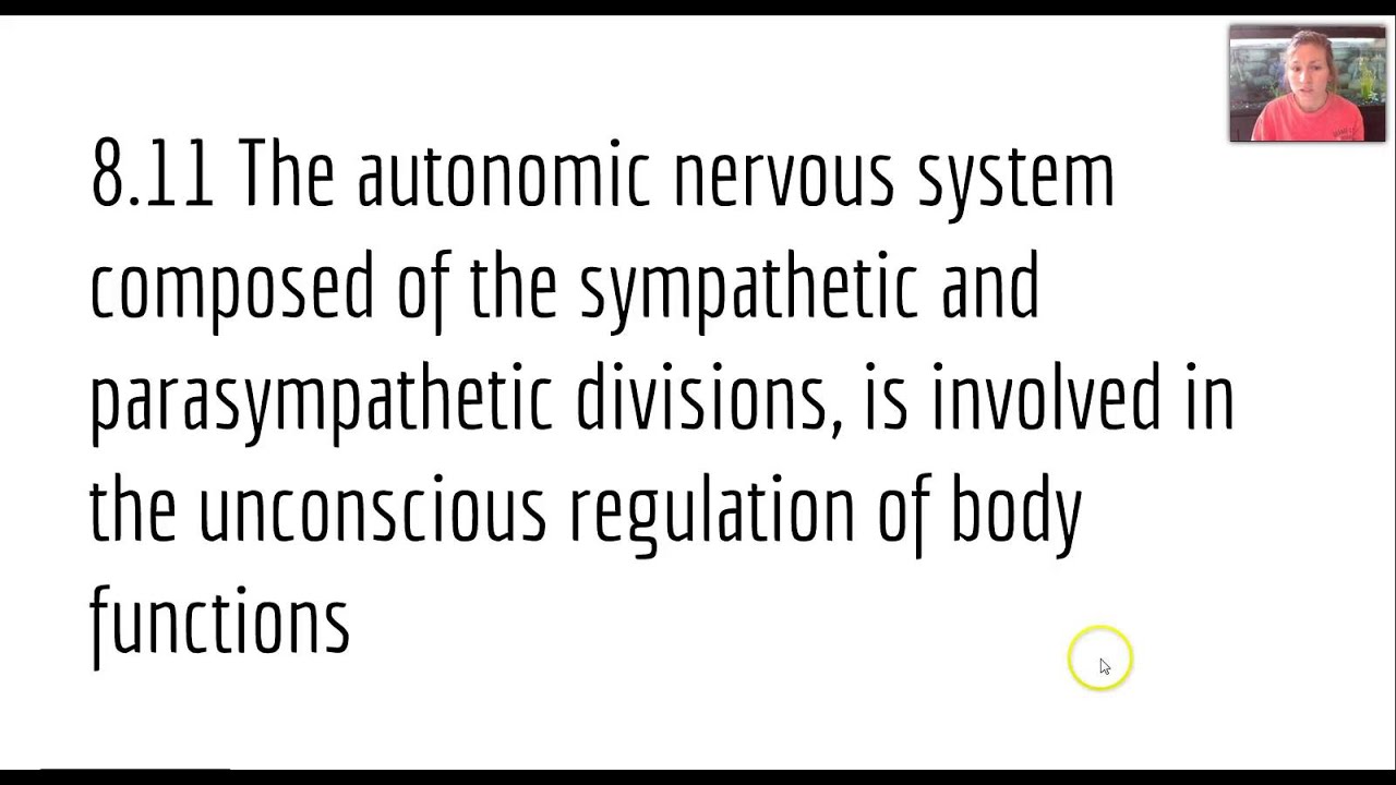 Ch 8 The Nervous System VL 4 YouTube ch-8-the-nervous-system-vl-4-youtube