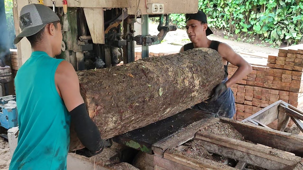 🔴TERLALU NEKAT MEMBELAH KAYU PINUS SUPER BESAR Operator Sawmill Skill ...