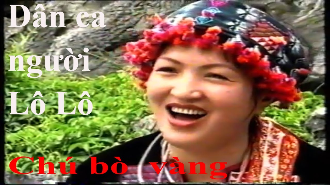 Chú bò vàng – Dân ca dân tộc Lô Lô - YouTube