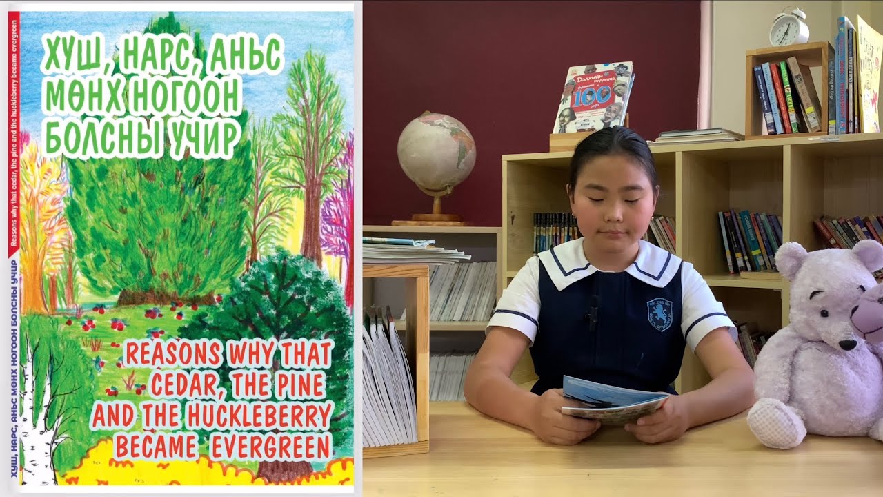Reason Why Cedar, Pine, Huckleberry Became Evergreen - Fairy Tale ...