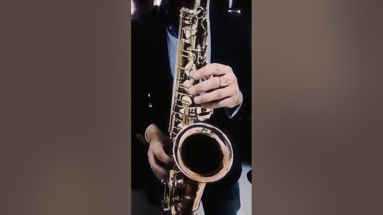 Божья Коровка Гранитный Камушек Sax Cover By Oppositemus Youtube