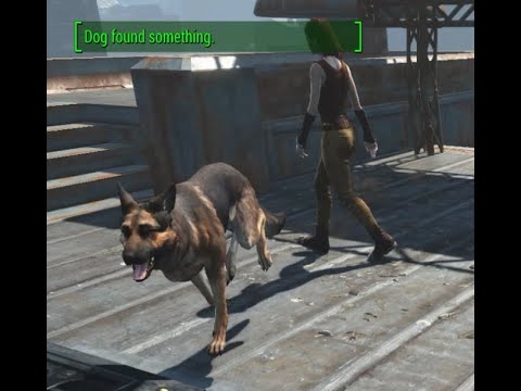 Fallout 4 - Dog found something. - YouTube