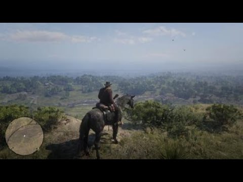 Red Dead Redemption 2 Gameplay part 11 STRAWBERRY - YouTube