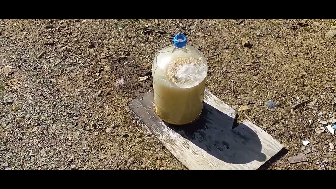 How to make corn beer. - YouTube