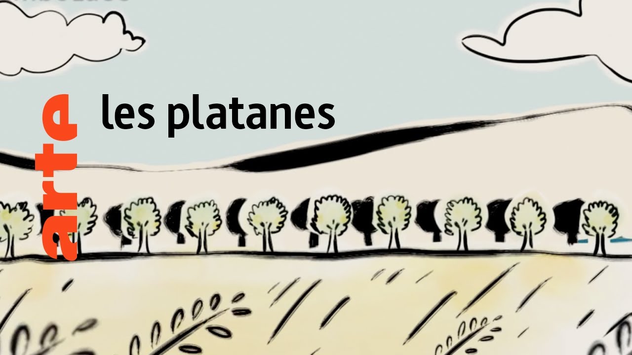 les platanes - Karambolage - ARTE - YouTube