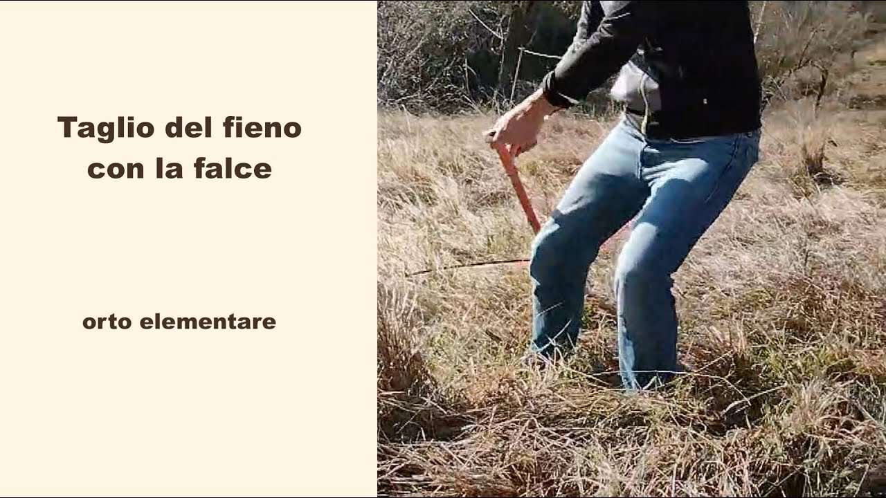 TAGLIO DEL FIENO CON LA FALCE - orto elementare - YouTube