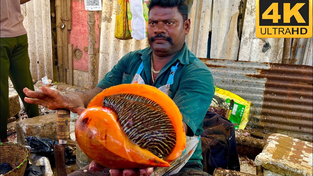 Sangu 🐚🐚/Vanjaram fish cutting video/Fishcuttingrs #fishcuttingrs # ...