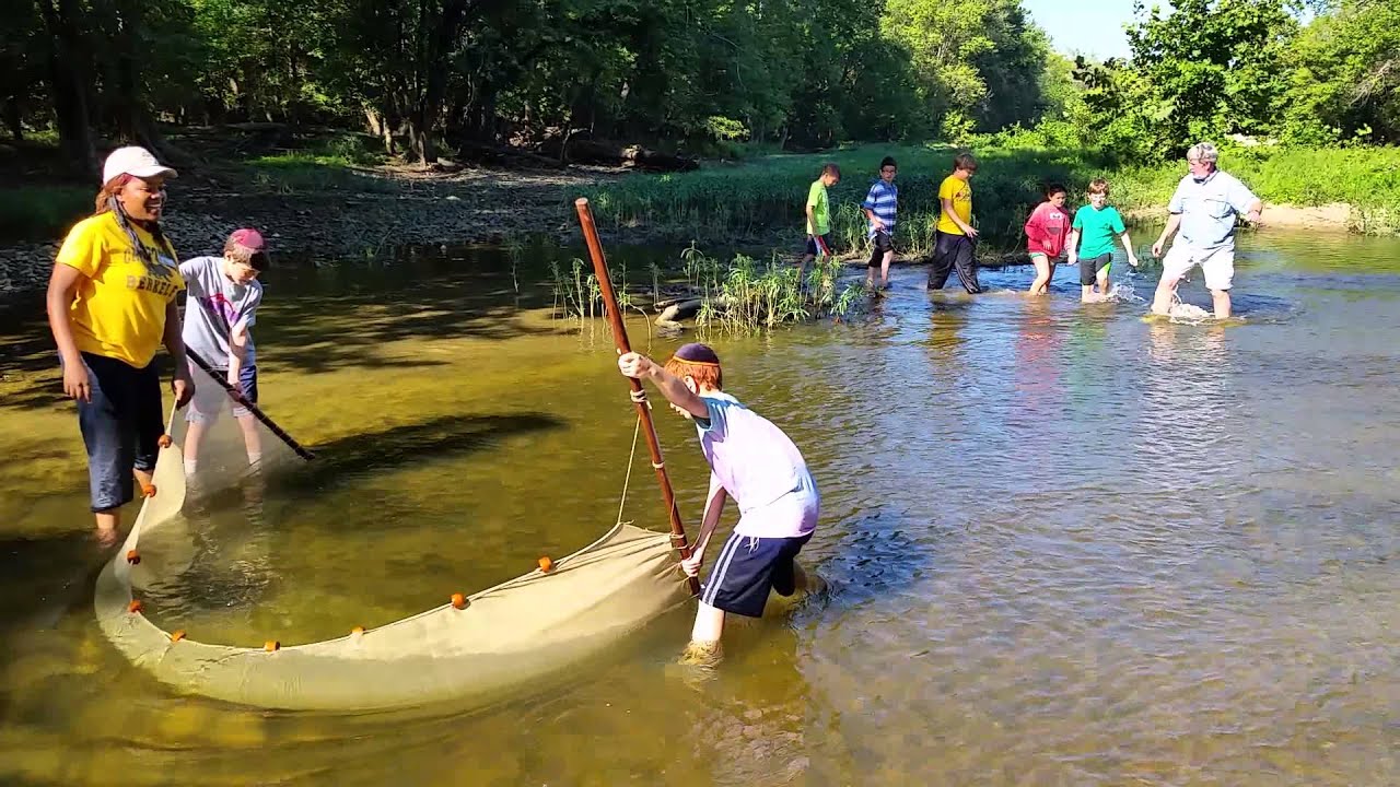 Seining for fish in the Stillwater River. - YouTube