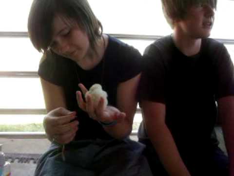 emily got pooped on! - YouTube