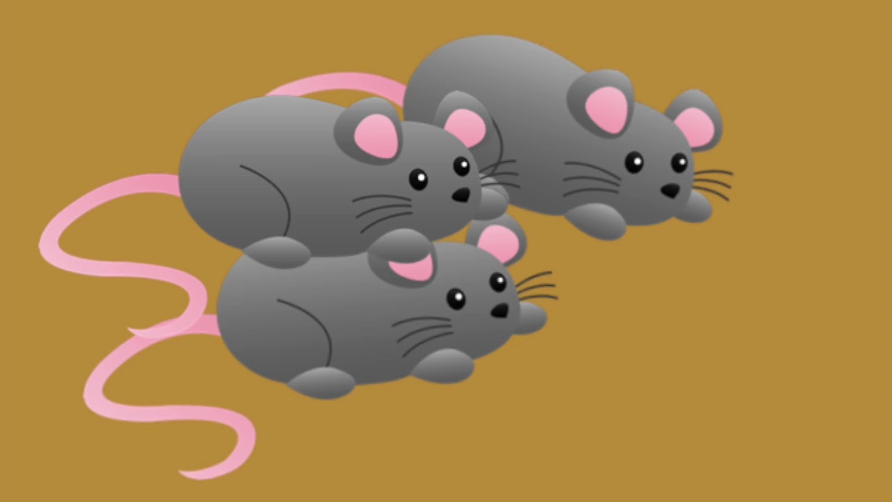 Mouse Mousie - YouTube